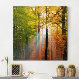Bilderwelten Leinwandbild - Quadrat Morning Light