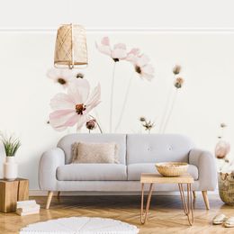 Bilderwelten Fototapete Blumen Landhaus Wandtapete beige - Cosmea in zarten Cremet&ouml;nen - Deko Wohnzimmer Schlafzimmer
