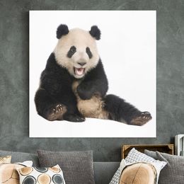 Bilderwelten Leinwandbild Tiere modern Kunstdruck Leinwanddruck - Lachender Panda - Wandbild XXL Wohnzimmer Schlafzimmer