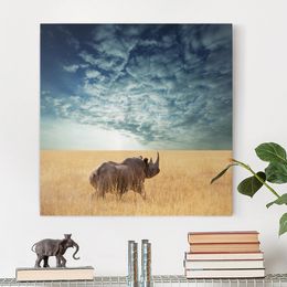 Bilderwelten Leinwandbild - Quadrat Nashorn in der Savanne