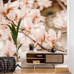 Bilderwelten Fototapete Magnolienzweige im Vintagestil Landschaft B&auml;ume Wohnzimmer,Schlafzimmer Vliestapete inkl. Kleister oder selbstklebend