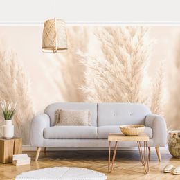 Bilderwelten Fototapete Blumen Landhaus Wandtapete beige - Pampasgras im Sonnenlicht - Gr&auml;ser Wohnzimmer Schlafzimmer