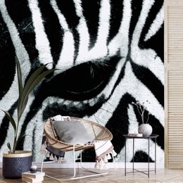 Bilderwelten Fototapete Zebra Crossing Tiere Zebra Schlafzimmer,Wohnzimmer Vliestapete inkl. Kleister oder selbstklebend