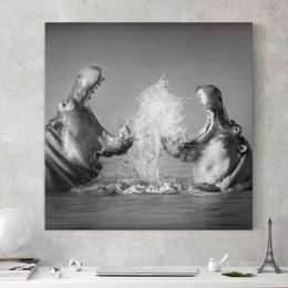 Bilderwelten Leinwandbild Tiere modern Kunstdruck schwarz weiss - Hippo Fight - Wandbild XXL Wohnzimmer Schlafzimmer