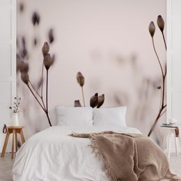 Bilderwelten Fototapete Blumen Landhaus Wandtapete beige - Dunkle Knospen am Wildblumenzweig - Gr&auml;ser Wohnzimmer Schlafzimmer