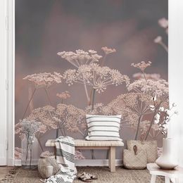 Bilderwelten Fototapete Wilde Doldenbl&uuml;ten Botanik Blume Wohnzimmer Vliestapete inkl. Kleister oder selbstklebend