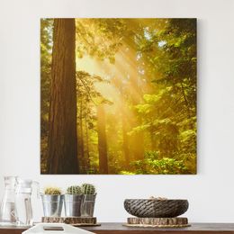Bilderwelten Leinwandbild Wald Motiv Kunstdruck gelb - Morgengold - B&auml;ume XXL Wohnzimmer Schlafzimmer