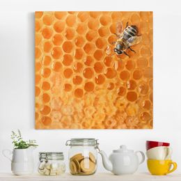 Bilderwelten Leinwandbild Tiere Motiv Kunstdruck Leinwanddruck - Honey Bee - Wandbild XXL Wohnzimmer Schlafzimmer
