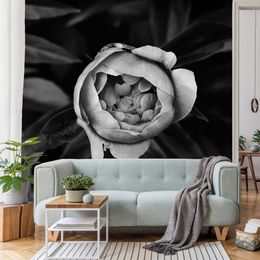 Bilderwelten Fototapete Pfingstrosenbl&uuml;te vor Bl&auml;ttern Schwarz-Wei&szlig; Botanik Rose Wohnzimmer,Schlafzimmer Vliestapete inkl. Kleister oder selbstklebend