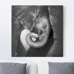 Bilderwelten Leinwandbild Tiere modern Kunstdruck grau - Mutterliebe - Elefant XXL Wohnzimmer Schlafzimmer