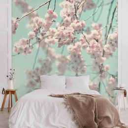Bilderwelten Fototapete Kirschbl&uuml;tentanz auf Leinenstruktur Botanik Kirschbl&uuml;te Schlafzimmer,Wohnzimmer Vliestapete inkl. Kleister oder selbstklebend