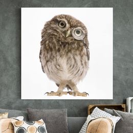Bilderwelten Leinwandbild Tiere Motiv Kunstdruck Leinwanddruck - Neugierige Eule - Wandbild XXL Wohnzimmer Schlafzimmer