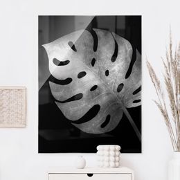 Bilderwelten Glasbild Tropisch schwarz Glas Wandbild - Silber - Monstera auf Schwarz - Pflanzen Wohnzimmer Schlafzimmer