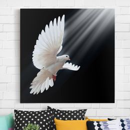 Bilderwelten Leinwandbild Tiere modern Kunstdruck Leinwanddruck - Holy Dove - Wandbild XXL Wohnzimmer Schlafzimmer