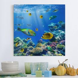 Bilderwelten Leinwandbild - Quadrat Underwater Lights