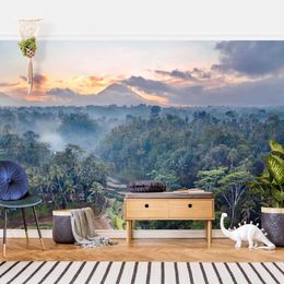Bilderwelten Fototapete Natur Motiv Wandtapete gr&uuml;n - Landschaft in Bali - Landschaft Wohnzimmer Schlafzimmer