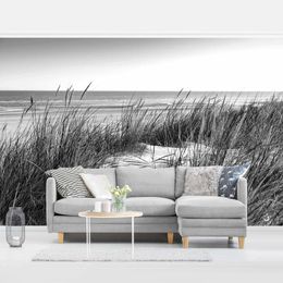 Bilderwelten Fototapete Strand Motiv Wandtapete schwarz weiss - Strandd&uuml;ne am Meer Schwarz-Wei&szlig; - D&uuml;nen Wohnzimmer Schlafzimmer
