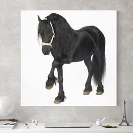 Bilderwelten Leinwandbild Tiere modern Kunstdruck schwarz - Friesenstute - Pferde XXL Wohnzimmer Schlafzimmer