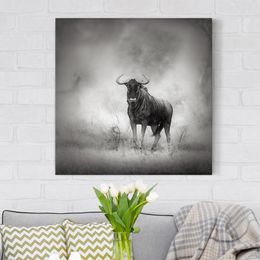 Bilderwelten Leinwandbild Tiere modern Kunstdruck schwarz weiss - Staring Wildebeest - Wandbild XXL Wohnzimmer Schlafzimmer