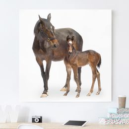 Bilderwelten Leinwandbild Tiere modern Kunstdruck Leinwanddruck - Trakehnerstute & Fohlen - Pferde XXL Wohnzimmer Schlafzimmer