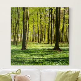 Bilderwelten Leinwandbild - Quadrat Waldwiese