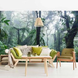 Bilderwelten Fototapete Wald Motiv Wandtapete gr&uuml;n - Monteverde Nebelwald - B&auml;ume Wohnzimmer Schlafzimmer