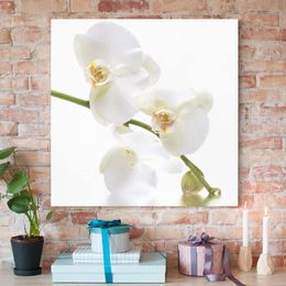 Bilderwelten Leinwandbild Blumen Motiv Kunstdruck Leinwanddruck - White Orchid Waters - Orchidee XXL Wohnzimmer Schlafzimmer