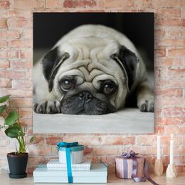 Bilderwelten Leinwandbild Tiere modern Kunstdruck Leinwanddruck - Pug Loves You - Hund XXL Wohnzimmer Schlafzimmer