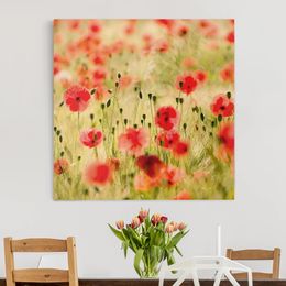 Bilderwelten Leinwandbild - Quadrat Summer Poppies