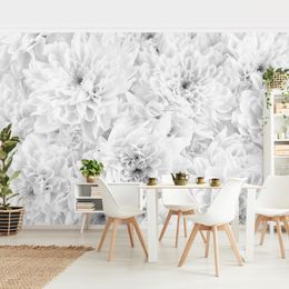 Bilderwelten Fototapete Dahlien Blumenmeer Schwarz-Wei&szlig; Landhaus,Botanik Blume Wohnzimmer,Schlafzimmer Vliestapete inkl. Kleister oder selbstklebend