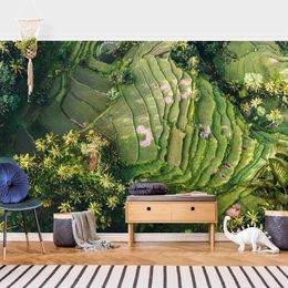 Bilderwelten Fototapete Natur Tropisch Wandtapete gr&uuml;n - Gr&uuml;ne Terassen - Palme Wohnzimmer Schlafzimmer