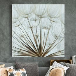 Bilderwelten Leinwandbild Blumen Motiv Kunstdruck beige - Sch&ouml;ne Pusteblume Makroaufnahme - Pusteblume XXL Wohnzimmer Schlafzimmer