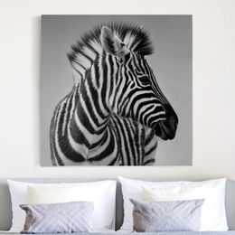 Bilderwelten Leinwandbild Tiere modern Kunstdruck Leinwanddruck - Zebra Baby Portrait II - Zebra XXL Wohnzimmer Schlafzimmer
