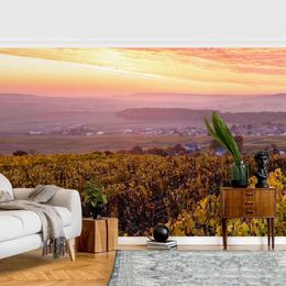 Bilderwelten Fototapete Natur Motiv Wandtapete gelb - Weinplantage bei Sonnenuntergang - Sonnenuntergang Wohnzimmer Schlafzimmer