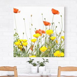 Bilderwelten Leinwandbild - Quadrat Wild Flowers