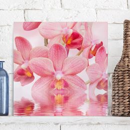 Bilderwelten Leinwandbild - Quadrat Rosa Orchideen auf Wasser