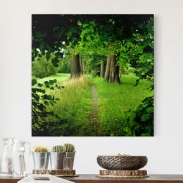 Bilderwelten Leinwandbild - Quadrat Verborgene Lichtung