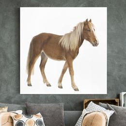 Bilderwelten Leinwandbild Tiere modern Kunstdruck orange - Pony - Pferde XXL Wohnzimmer Schlafzimmer