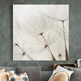 Bilderwelten Leinwandbild Blumen Vintage Kunstdruck weiss - Sanfte Gr&auml;ser - Gr&auml;ser XXL Wohnzimmer Schlafzimmer