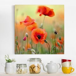 Bilderwelten Leinwandbild Blumen Motiv Kunstdruck gr&uuml;n - Roter Sommermohn - Mohn XXL Wohnzimmer Schlafzimmer
