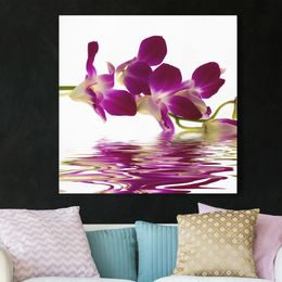 Bilderwelten Leinwandbild - Quadrat Pink Orchid Waters