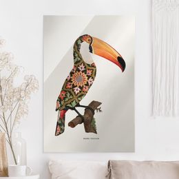 Bilderwelten Glasbild Boho Vogel - Tukan