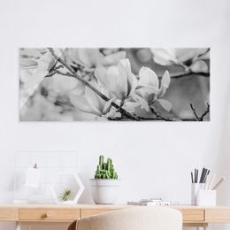 Bilderwelten Glasbild Blumen Vintage schwarz weiss Glas Wandbild - Magnolienzweige Vintagestil II - Retro Wohnzimmer Schlafzimmer