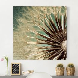 Bilderwelten Leinwandbild Blumen Vintage Kunstdruck Leinwanddruck - Closer than before - Pusteblume XXL Wohnzimmer Schlafzimmer