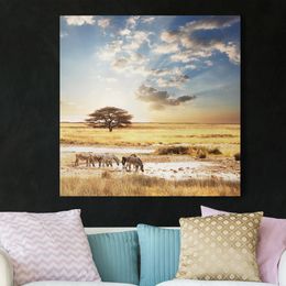 Bilderwelten Leinwandbild - Quadrat Das Leben der Zebras