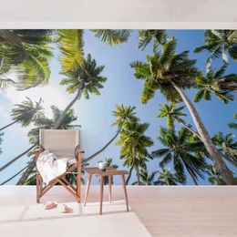 Bilderwelten Fototapete Natur Motiv Wandtapete gr&uuml;n - Palmen Himmel - Himmel Wohnzimmer Schlafzimmer