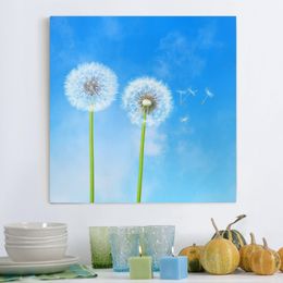Bilderwelten Leinwandbild - Quadrat Flying Seeds