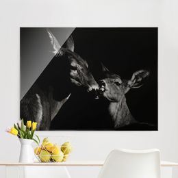 Bilderwelten Glasbild Tiere modern schwarz Glas Wandbild - Rehe vor Schwarz - Deko Wohnzimmer Schlafzimmer