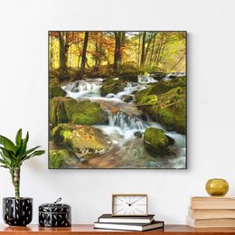 Wechselbild Wasserfall herbstlicher Wald