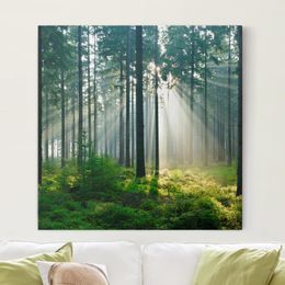 Bilderwelten Leinwandbild - Quadrat Enlightened Forest
